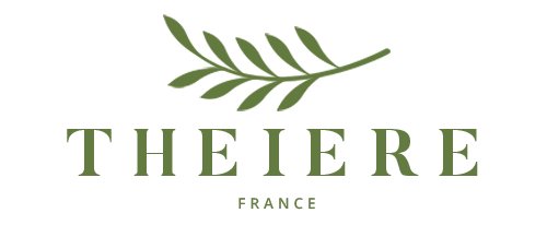 Découvrez nos Théières Anglaises – Théière France